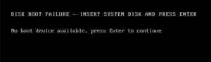 No Boot Disk Has Been Detected or the Disk Has Failed [SOLVED] – TechCult