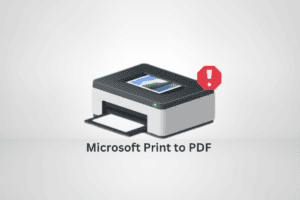 [SOLVED] Microsoft Print to PDF Not Working – TechCult