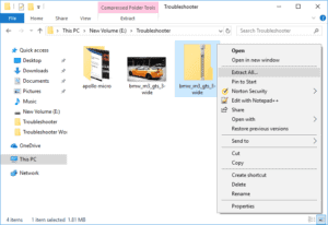 Zip or Unzip Files and Folders in Windows 10 – TechCult