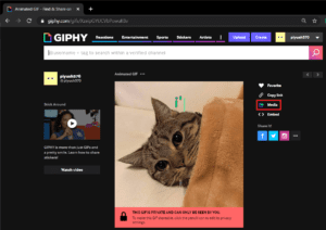 3 Ways to Create a GIF on Windows 10 – TechCult