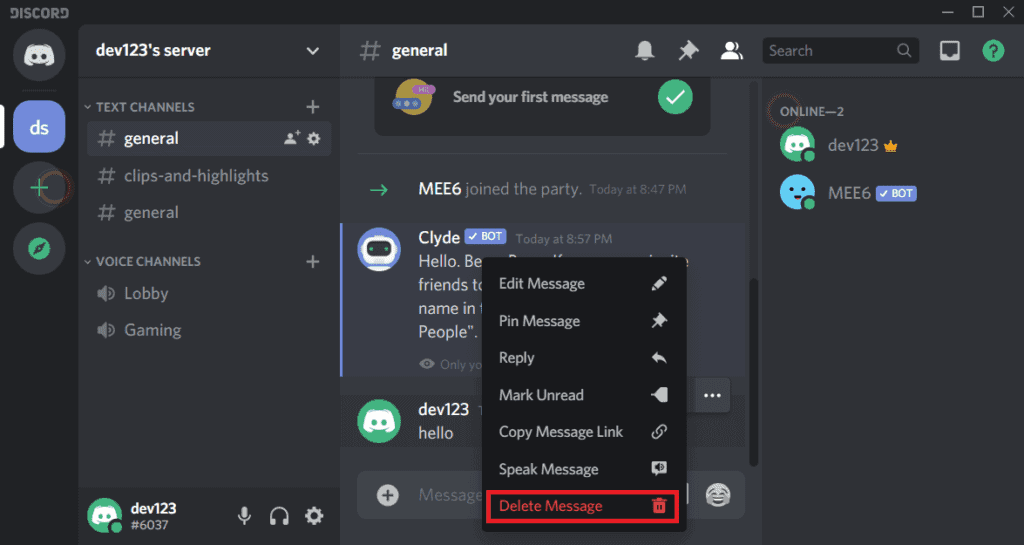 How to Delete All Messages in Discord (Clear DM History) – TechCult
