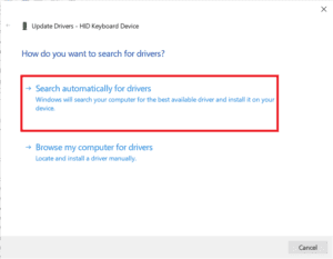How to Reset your Keyboard to Default Settings – TechCult