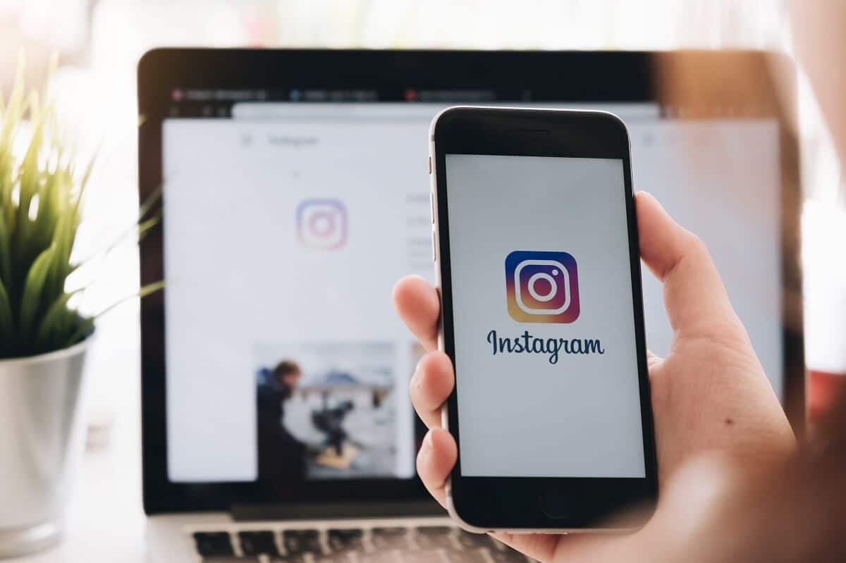 How To View Full Size Instagram Photos 2022 TechCult