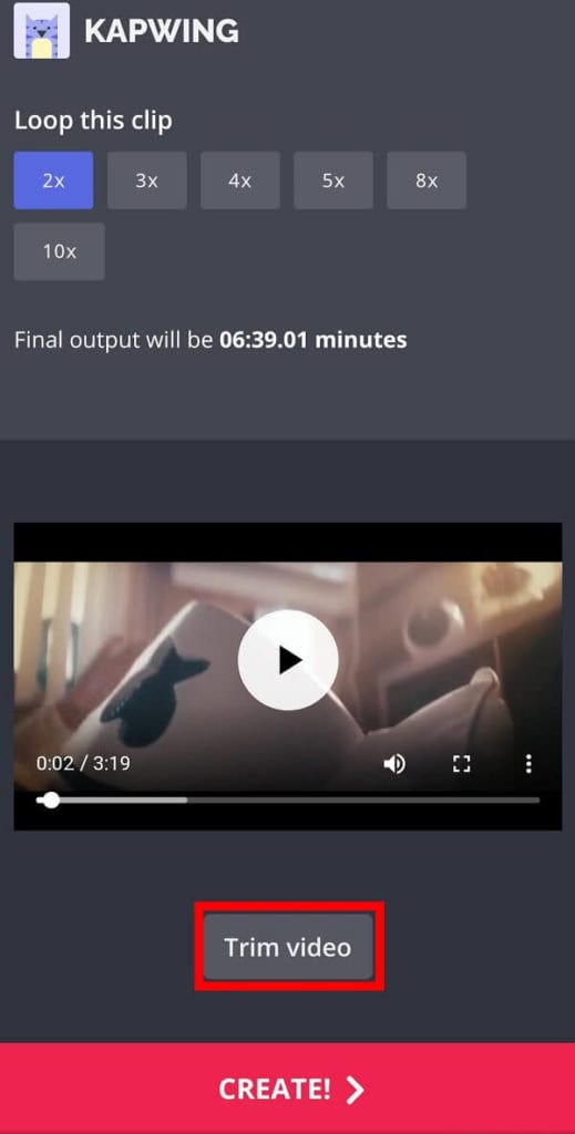 How to Put a YouTube Video on Repeat on Desktop or Mobile – TechCult