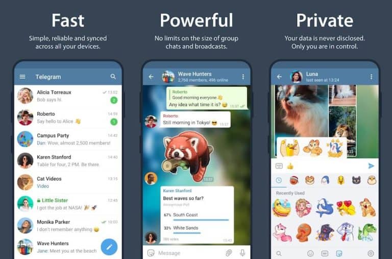 How To Make Video Calls On Telegram (On Mobile & Desktop) – TechCult