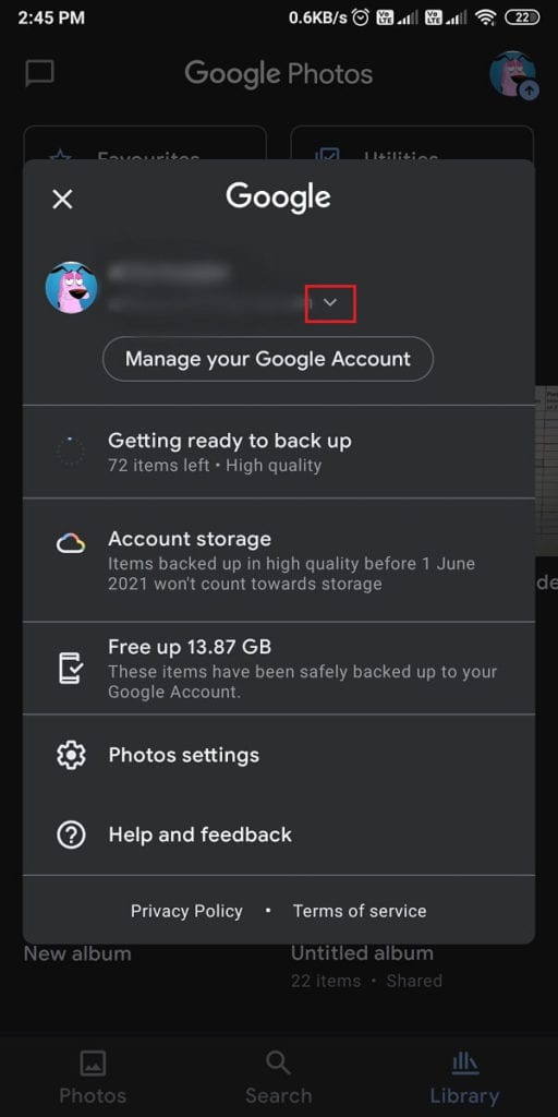How to Remove an Account from Google Photos – TechCult