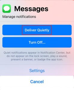 Fix iPhone Message Notification Not Working When Locked – TechCult