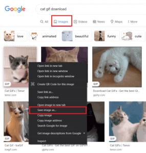 How to Download GIF from GIPHY – TechCult