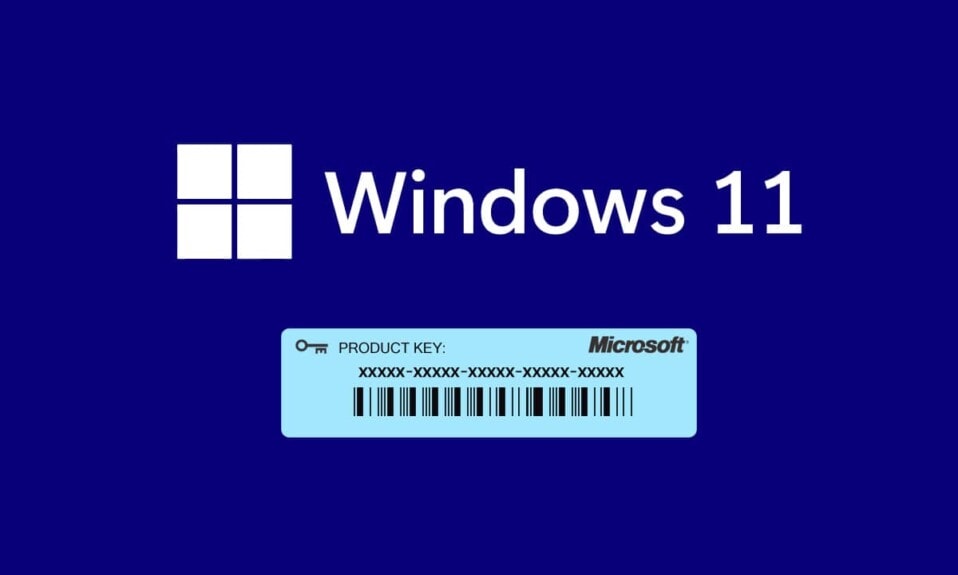 How To Find Windows 11 Product Key TechCult