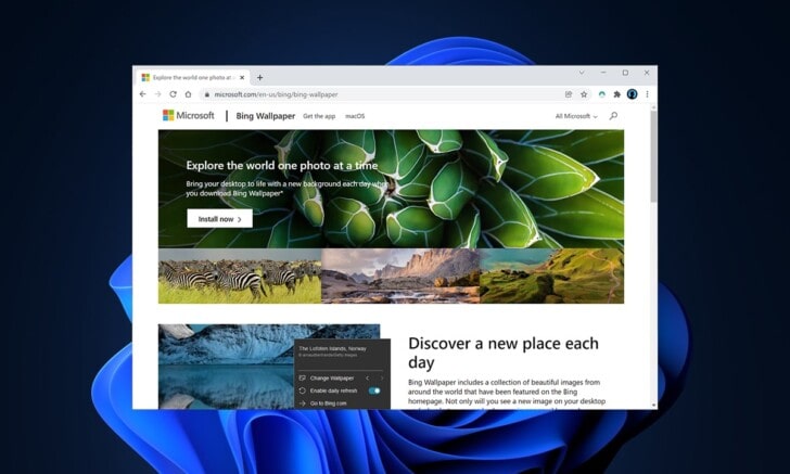 How to Download and Install Bing Wallpaper for Windows 11 - TechCult