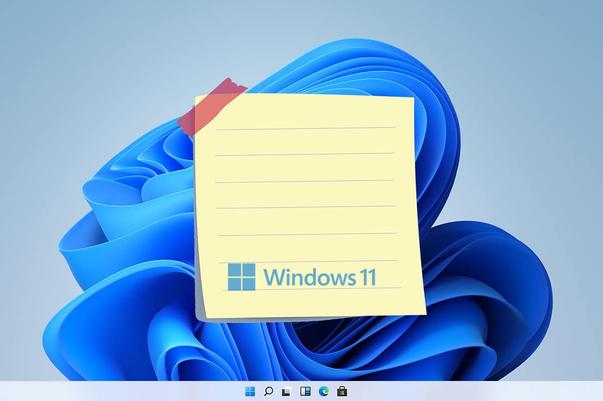 How To Use Sticky Notes In Windows 11 TechCult