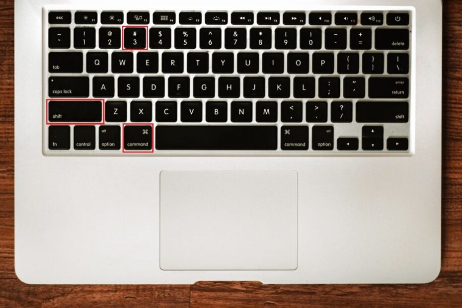 How to Take Zoom Meeting Screenshot – TechCult