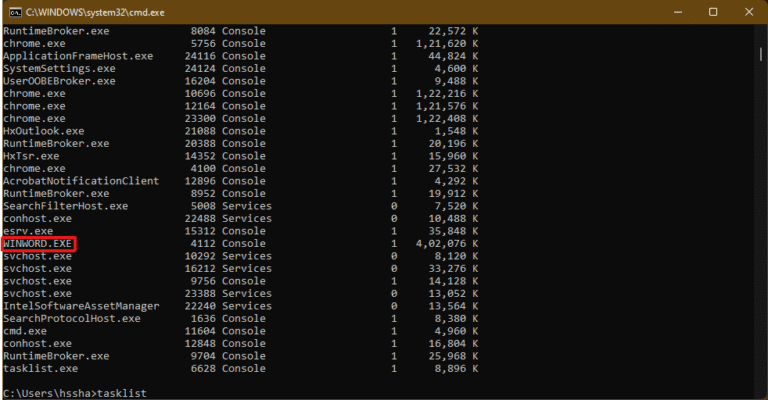 How to Force Quit a Program on Windows 11 – TechCult