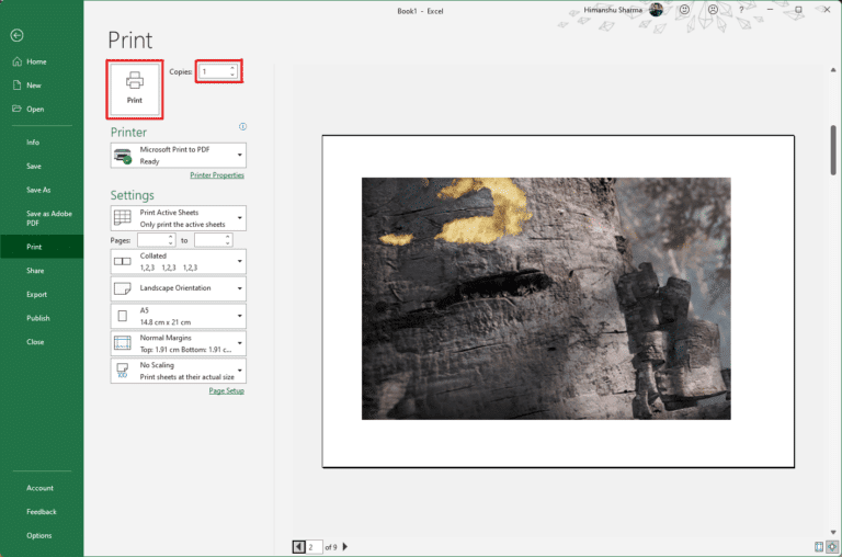 How to Print Large Images on Multiple Pages in Windows 11 – TechCult