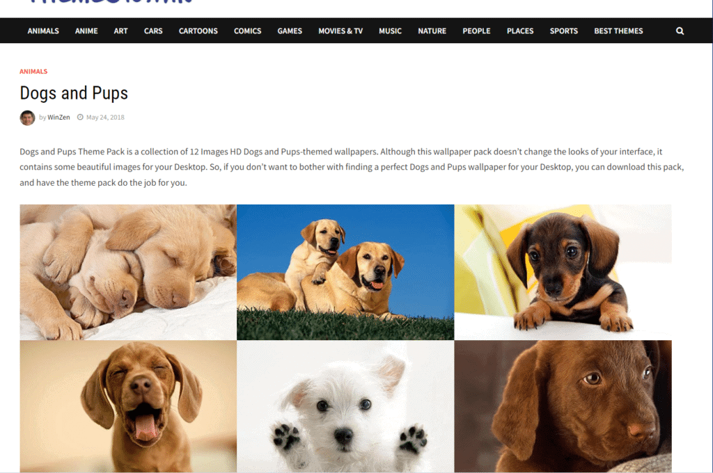 15 Best Free Windows 10 Themes 2026 – TechCult