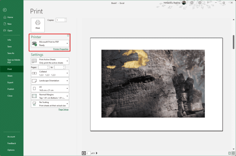 How to Print Large Images on Multiple Pages in Windows 11 – TechCult