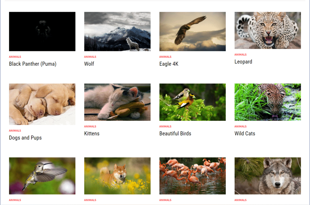 15 Best Free Windows 10 Themes 2026 – TechCult