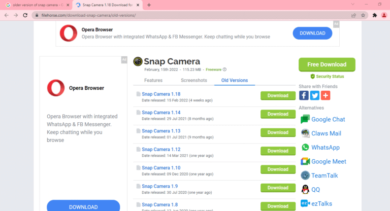 Fix Snap Camera No Available Camera Input Error – TechCult