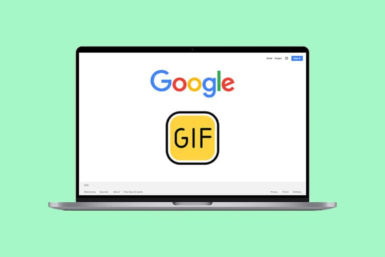 How to Change My Google Picture to Animated GIF – TechCult