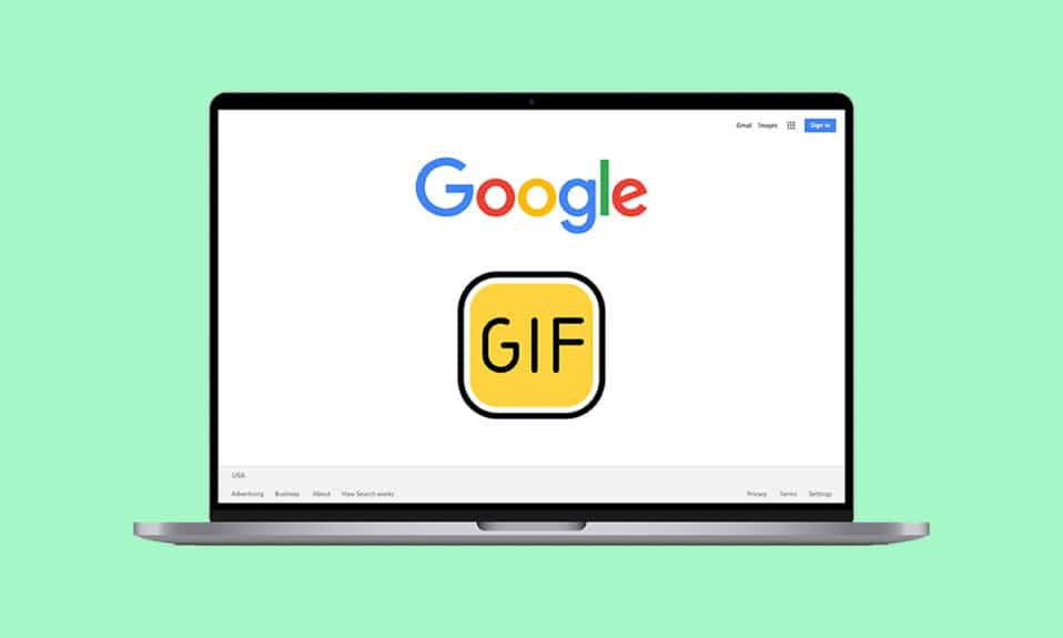 How To Change My Google Picture To Animated GIF TechCult