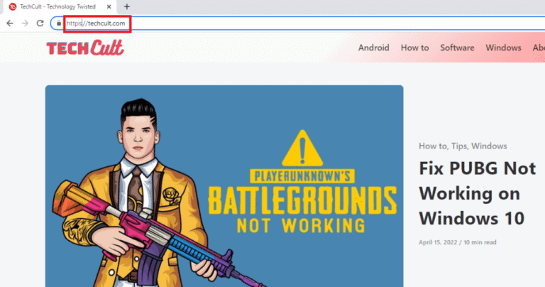How to Unblock a Website on Windows 10 – TechCult