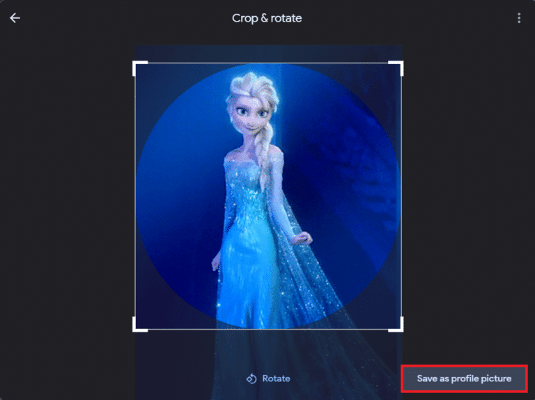 How to Change My Google Picture to Animated GIF – TechCult