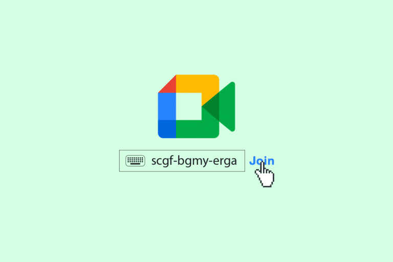 What are Google Meet Codes? – TechCult