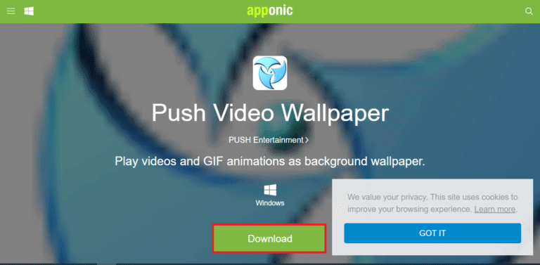 How to Set an Animated Wallpaper on Windows 10 – TechCult