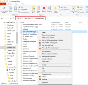 Fix Nexus Mod Manager Not Opening on Windows 10 – TechCult