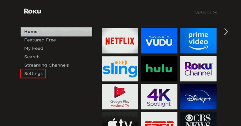 Fix Roku Screen Mirroring Not Working on Windows 10 – TechCult