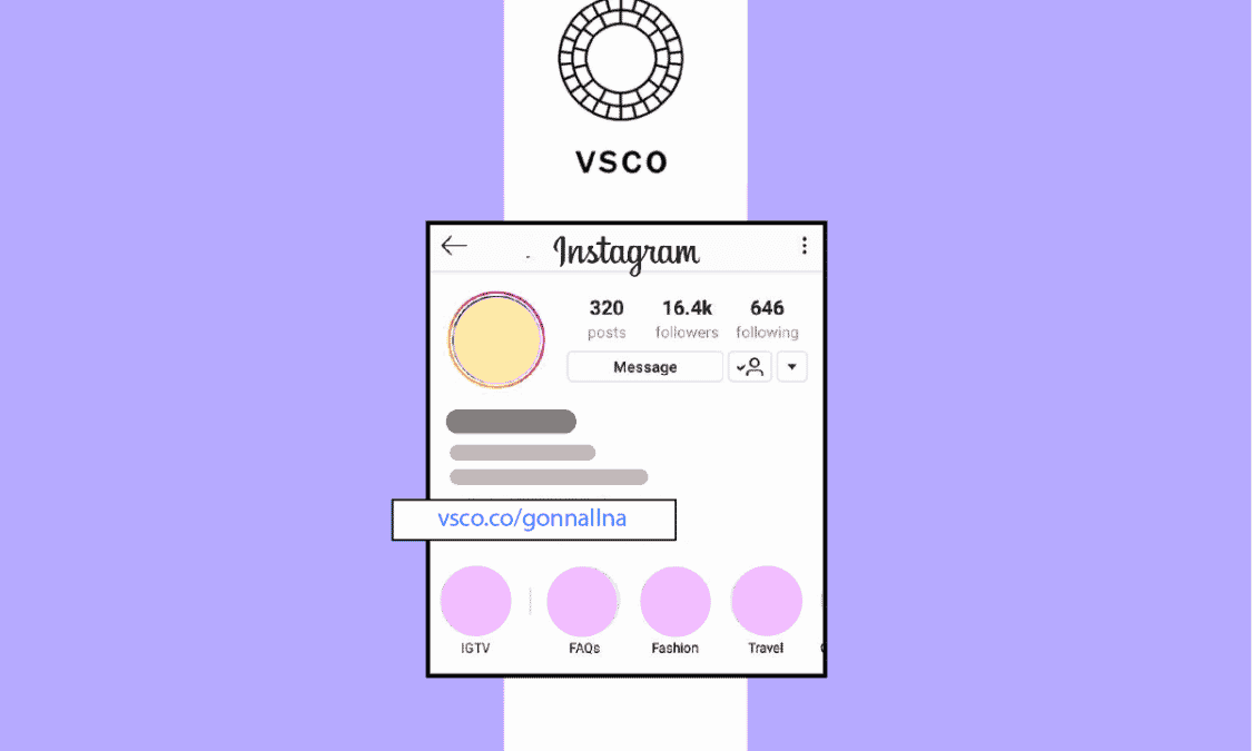 How To Put VSCO Link In Your Instagram Bio TechCult