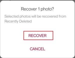 Why Have My Facebook Photos Disappeared? – TechCult