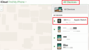 How to Remove Apple ID from Apple Watch – TechCult