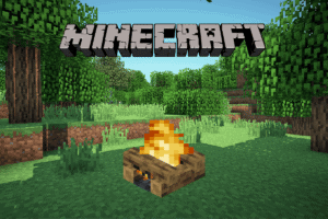 How to Put Out a Campfire in Minecraft – TechCult