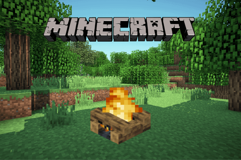 How to Put Out a Campfire in Minecraft – TechCult