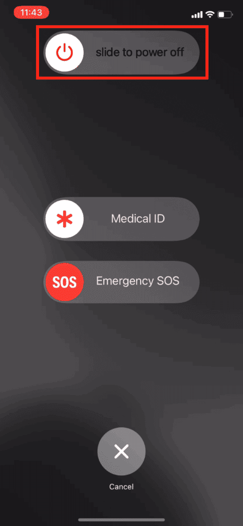 How to Tell If Your iPhone Has a Virus – TechCult