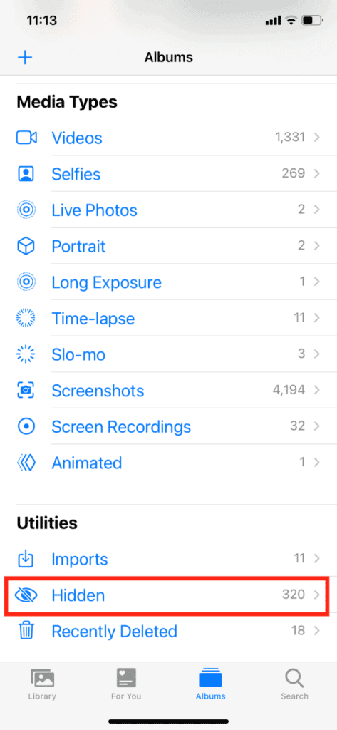 How to Find Hidden Things on iPhone – TechCult