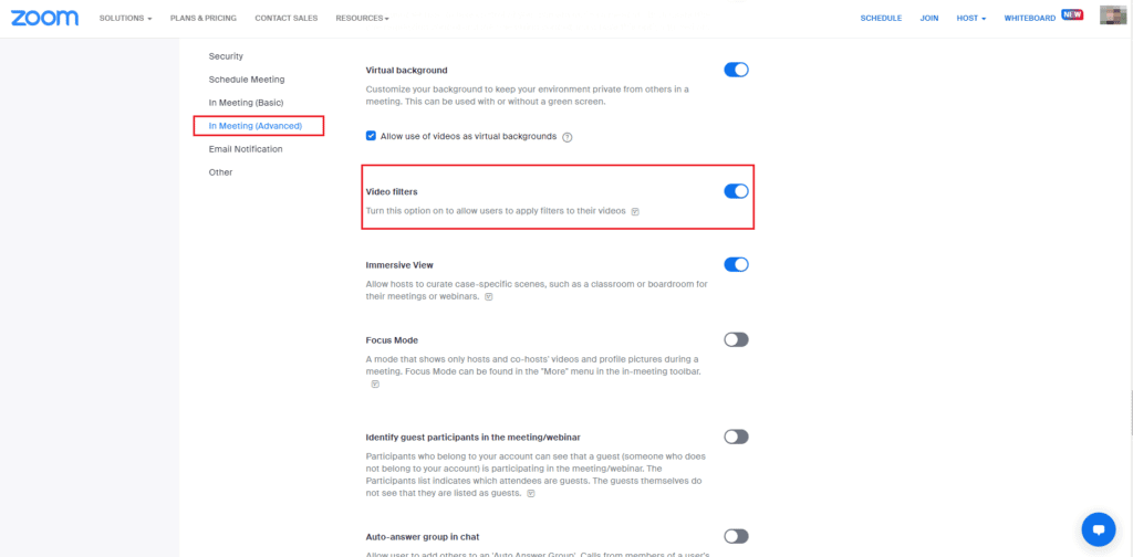 Fix Zoom Filters Not Showing on PC – TechCult