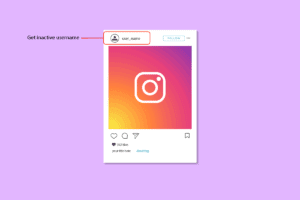 How to Get an Inactive Instagram Username – TechCult