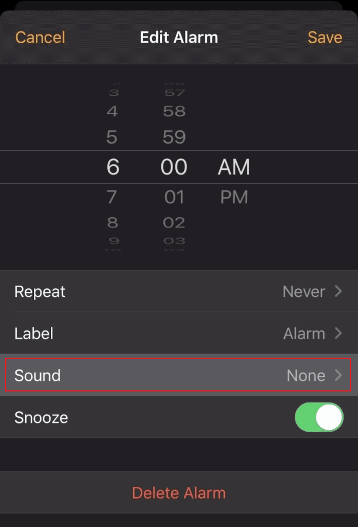 How to Make Your Alarm Louder – TechCult