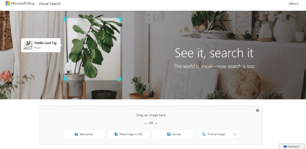 How to Reverse Image Search on Instagram – TechCult