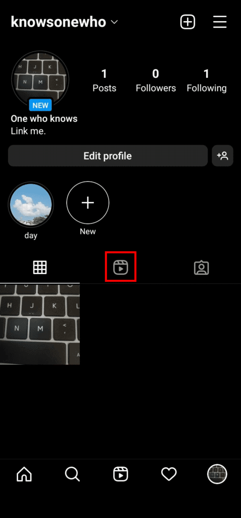 How to Share Full Reels on Instagram Story – TechCult