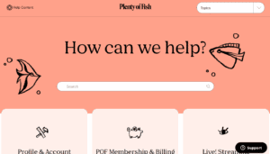 Why Did My Conversation Disappeared on POF? – TechCult