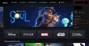 How to Update Disney Plus Account – TechCult