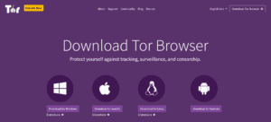 Top 11 Best Deep Web Browsers for Anonymous Browsing – TechCult
