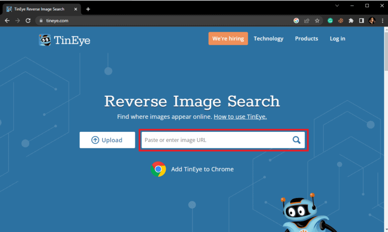 How to Run Reverse Scammer Image Search – TechCult