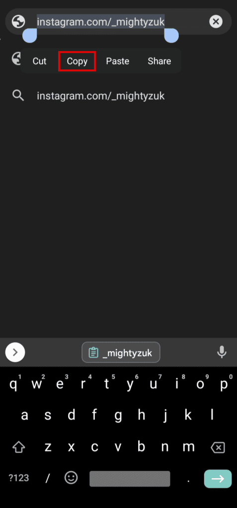 How to Copy Your Instagram Profile Link from App – TechCult