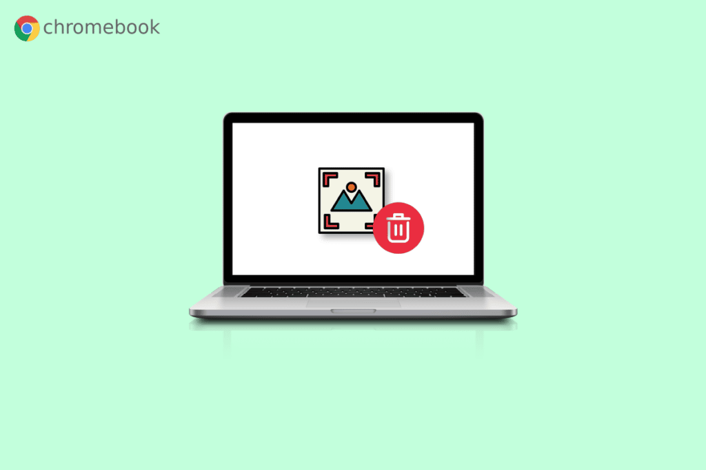 How To Delete Images On Chromebook Read Only TechCult