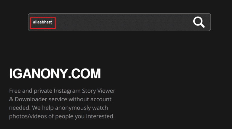 How to View Instagram Posts and Stories Without an Account – TechCult