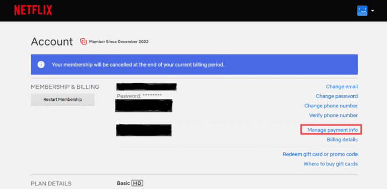 How to Remove Card from Netflix – TechCult